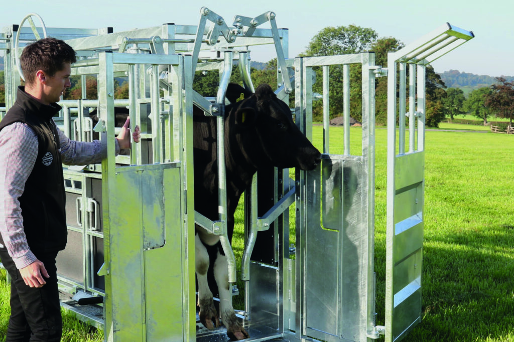 Bateman Ambassador Clipping Cattle Crush - Farm Supplier