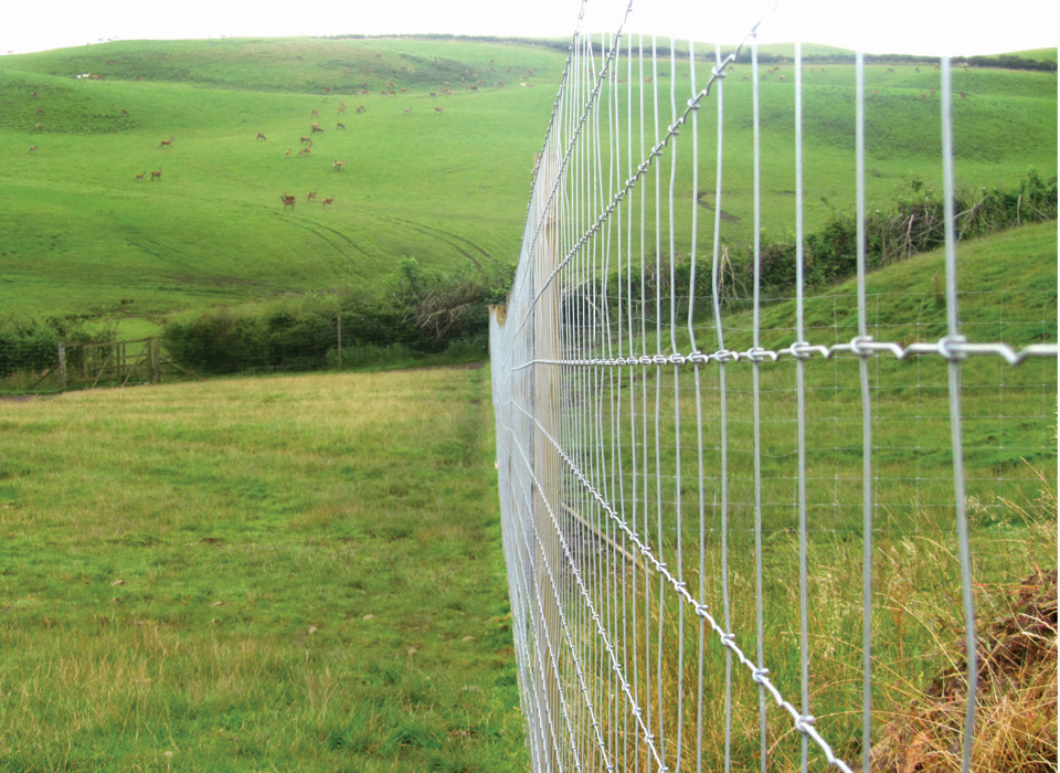 Hampton Stiff Stay Deer Fencing - Farm Supplier